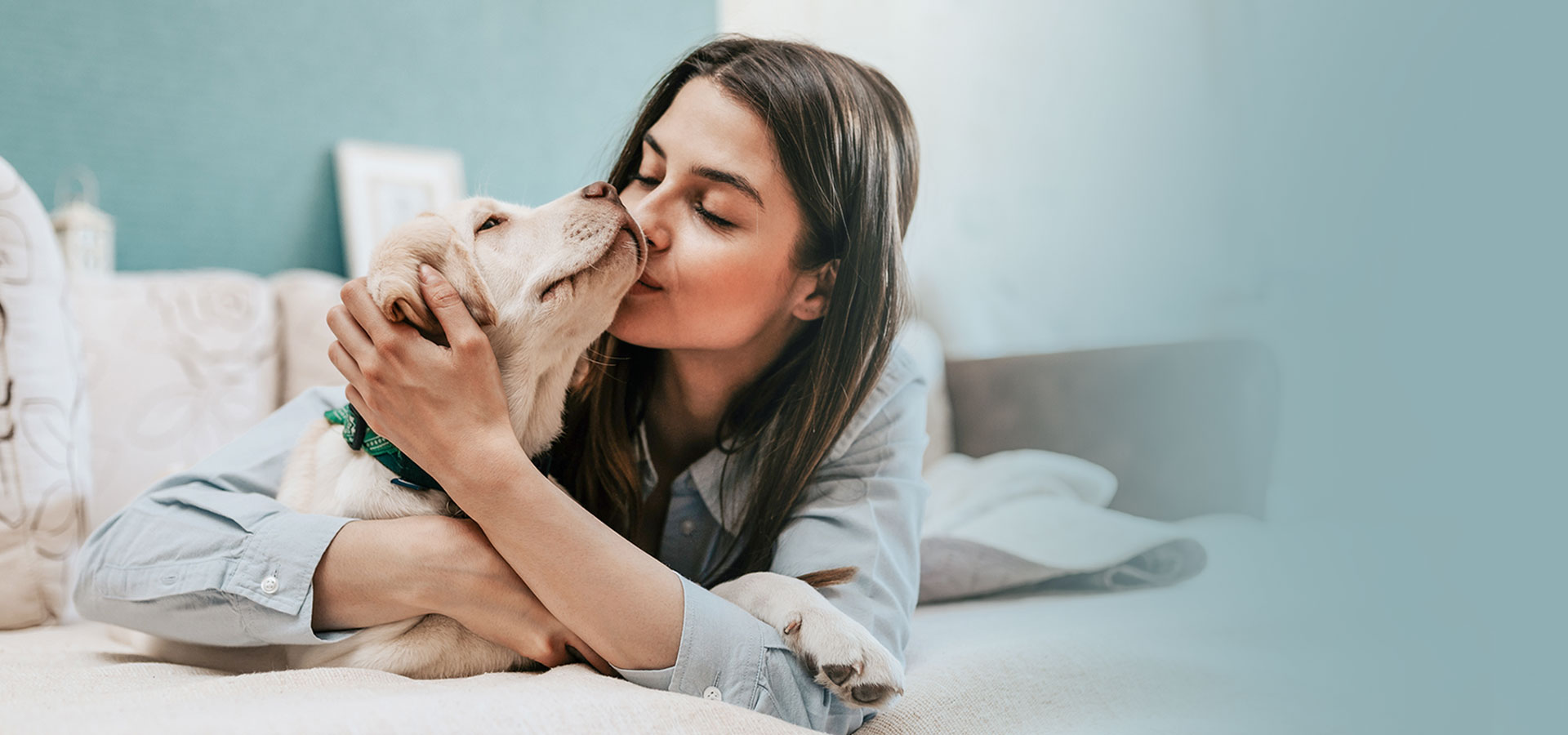 Saddle Window Air Conditioners - The Home Comfort AC Guy